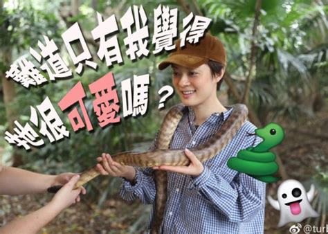 【一家愛弄蛇】孫儷巨蟒掛頸毫無懼色｜即時新聞｜繽fun星網｜oncc東網