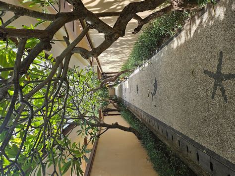 Great For Chilling On Gilli T Review Of Hotel Ombak Sunset Gili Trawangan Tripadvisor