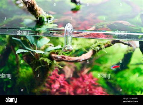 Glass Hang On CO2 Aquarium Drop Checker For Monitoring Optimal Carbon