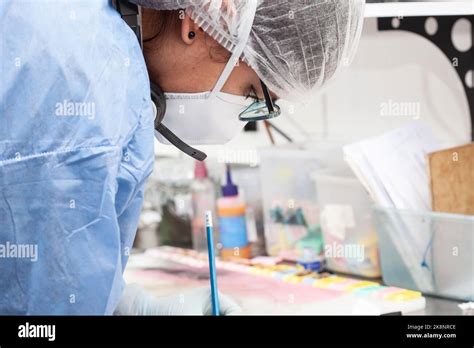 Scientist Processing Biopsy Samples At The Pathology Laboratory To Be Embedded In Paraffin For