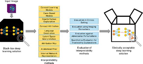 Overview Of Interpretability Methods For Dl Solutions In Medical Image Download Scientific