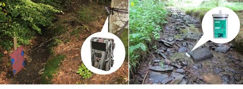 Figure 3 From Monitoring Ephemeral Intermittent And Perennial