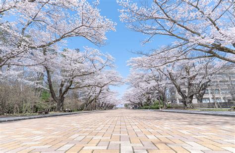 今すぐ人に教えたくなる雑学豆知識100選 Part2