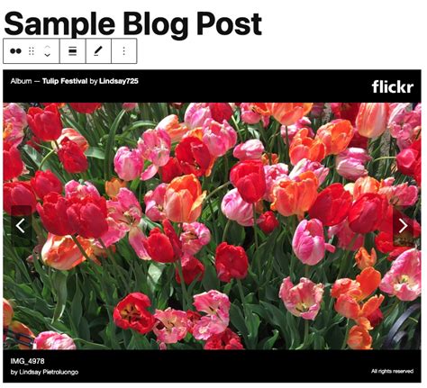 How To Use The Wordpress Flickr Embed Block Ask The Egghead Inc