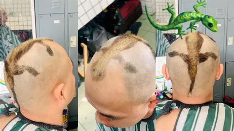 Lizard Haircuts