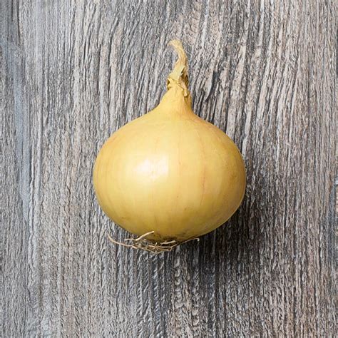 Sipuli Juuri And Juuri