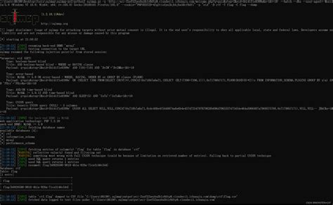 Cve Wp Csdn