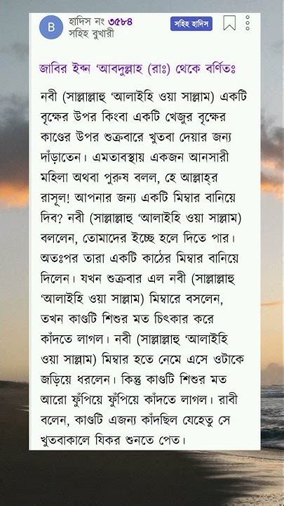 শুক্রবার রাসূল সা এর জন‍্য যে গাছের গুরি কান্না করতো। Youtube
