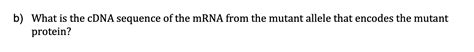 Solved The Double Stranded Dna Sequence Shown Below Is Part