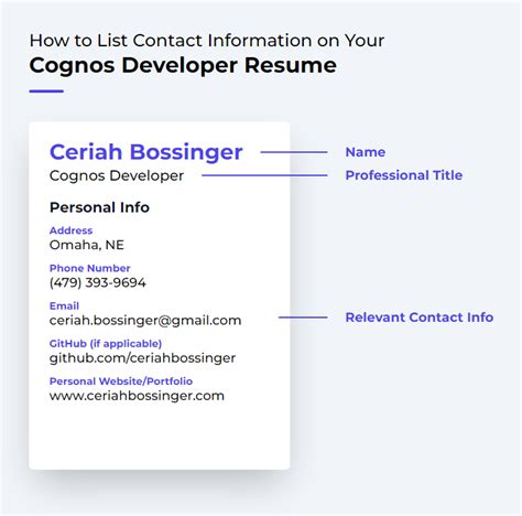 Cognos Developer Resume Examples And Templates ResumeCat