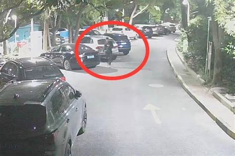 喝酒断片信手涂鸦 普陀警方侦办一起酒后划车寻衅滋事案件秦某黄先生小区