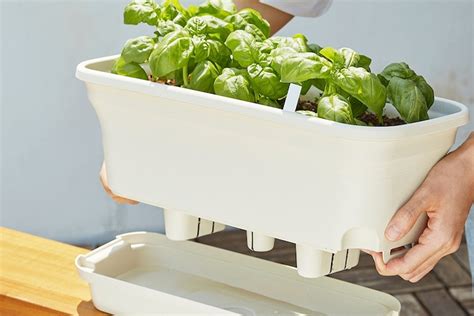자급자족라이프 저면관수 자동급수 화분 텃밭 키우기 배양토 씨앗 추가구매가능 위시버킷