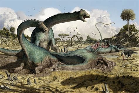 Tierra De Dinosaurios Kaatedocus Siberi Un Nuevo Dinosaurio Saurópodo