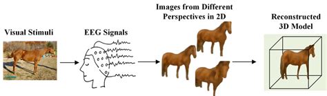 Our Model Reconstructs 3d Objects Using Eeg Signals Download Scientific Diagram