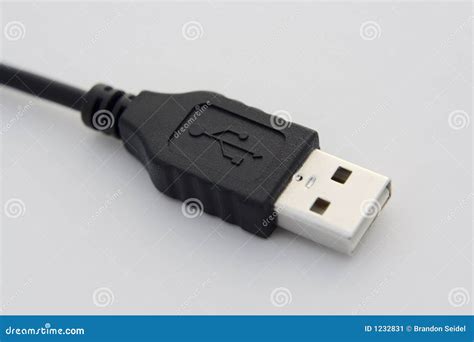 Usb Cable Plug Stock Image Image Of Play Component Fast 1232831