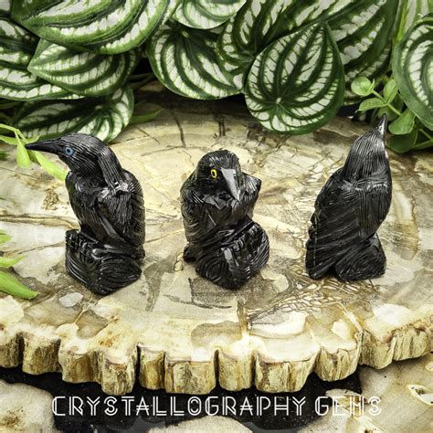 Onxy Raven Medium Blue Eyed Crystallography Gems