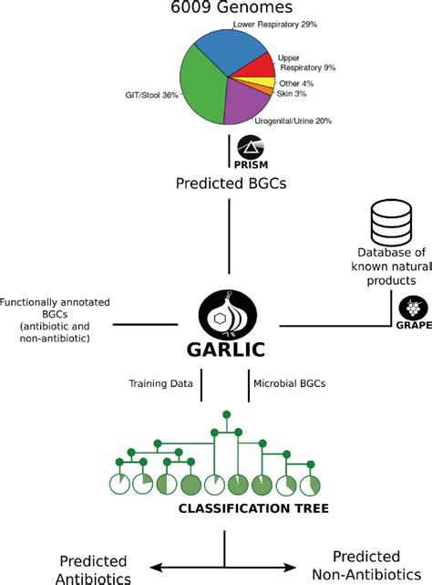 Flow Chart Illustrates The Chem Bioinformatic Analysis Pipeline Download Scientific Diagram