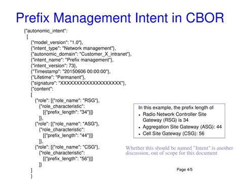 Autonomic Prefix Management In Large Scale Networks Ppt Download