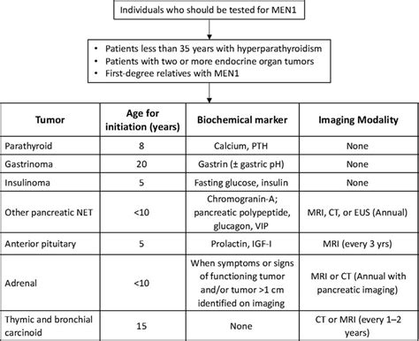 Guidelines For Screening Protocol For Men1 Syndrome Ct Computed