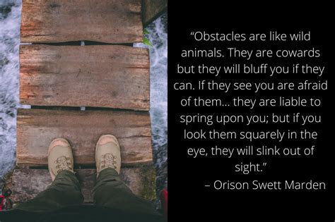 31 Quotes About Fear Success