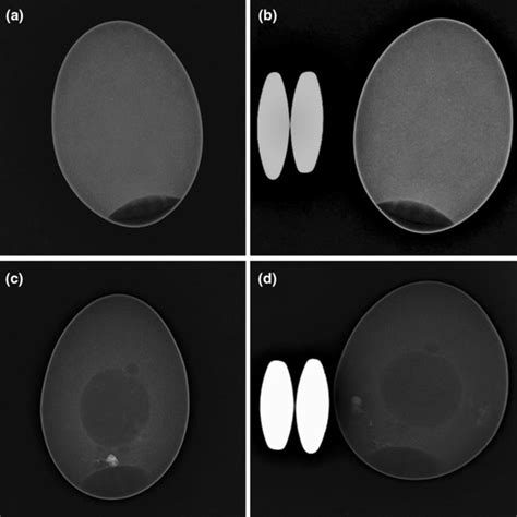 X Ray Imaging Of Egg A X Ray Image Of Control Egg B X Ray Image Of