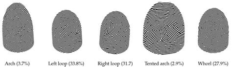 Fingerprint Classification Through Standard And Weighted Extreme Learning Machines