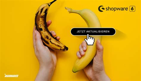 Migration Von Shopware 5 Zu Shopware 6