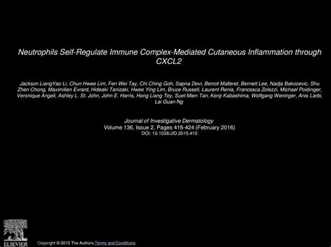 Neutrophils Self Regulate Immune Complex Mediated Cutaneous