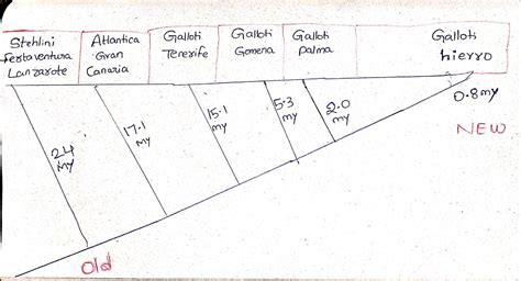 Solved Part 1 And Part Ii Phylogeny 1 You Should Draw Your