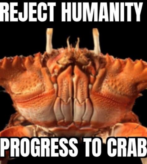 Things Just Keep On Evolving Into Crabs And We Dont Know Why Some