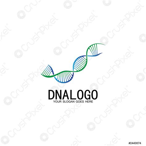 Dna Vector Logo Diseño Templatemodern Logomedical Logotipolaboratory