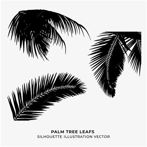 Premium Vector Palm Tree Leafs Vector Illustration