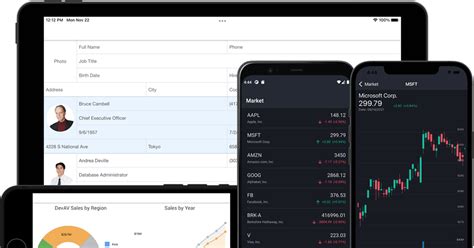 Devexpress Net Maui 22 2 5