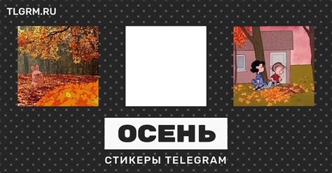 Набор анимированных стикеров для Telegram «Осень