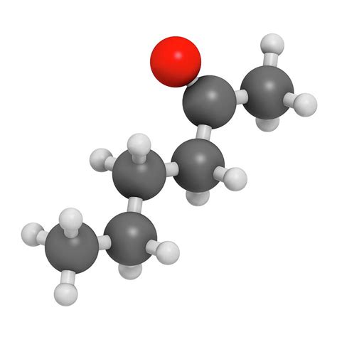 Methyl Butyl Ketone Molecule Photograph By Molekuul Fine Art America