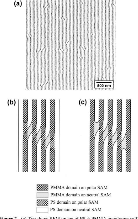 Figure 2 From Defect Structure In Thin Films Of A Lamellar Block Copolymer Self Assembled On