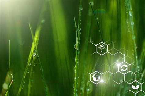 Premium Photo Plants Background With Biochemistry Structure Illustration