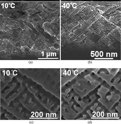 Sem Micrographs Of 011 Cross Sections Of Inp Electrodes After A