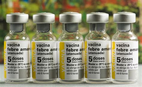 Vacinação de macacos contra febre amarela pesquisa reforça segurança