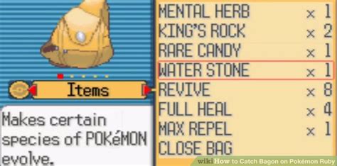 How To Catch Bagon On Pokémon Ruby 5 Steps With Pictures
