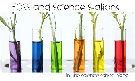 Foss And Science Stations The Science School Yard