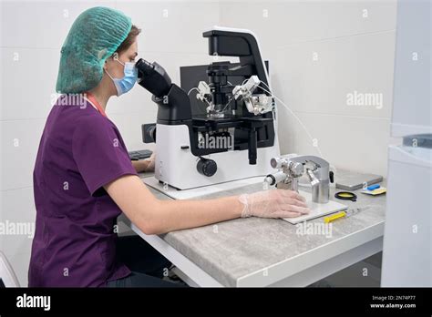 Woman Embryologist Under Microscope Carries Out The Fertilization Of