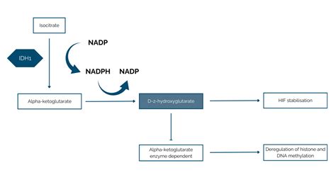 Cholangiocarcinoma Fgfr2 Bicc1 Fusion Identified