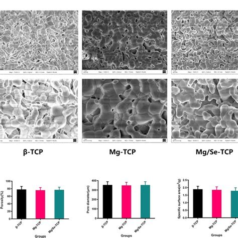 Physiochemical Properties Of The β Tcp Mg Tcp And Mgse Tcp