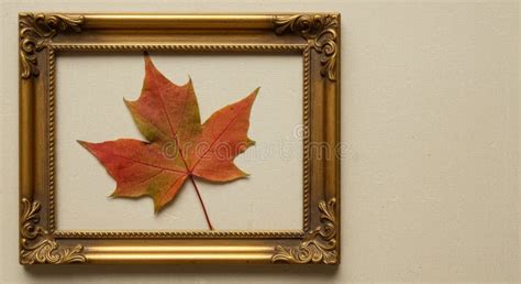 Red And Orange Autumn Maple Leaf In Gold Frame Stock Illustration Illustration Of Still