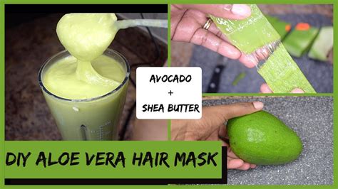 Diy Aloe Vera Hair Mask For Extreme Moisture And Hair Growthshea Butter