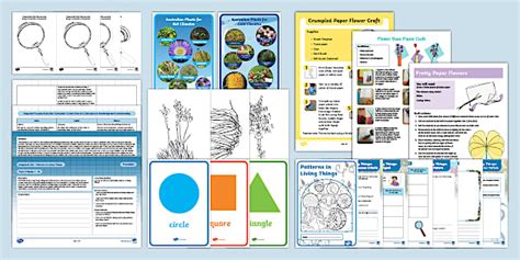 Stem Iu Foundation Patterns In Living Things Wk 3 4 Twinkl