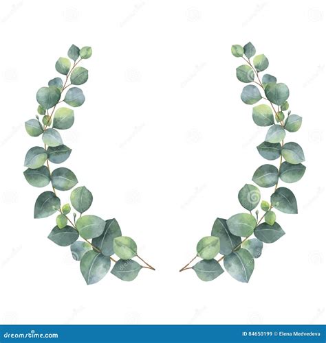 Watercolor Vector Wreath With Silver Dollar Eucalyptus Leaves And