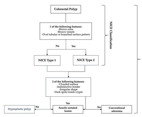Nbi International Colorectal Endoscopic Nice And Wasp Download Scientific Diagram Nbi International Colorectal Endoscopic Nice And Wasp Download Scientific Diagram
