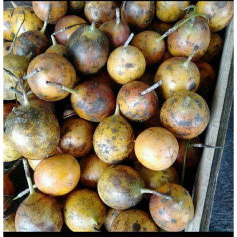 Harga Markisah Terbaru Oktober 2022 Biggo Indonesia